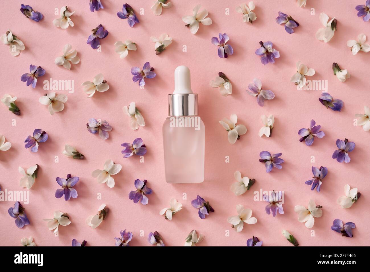 A bottle of essential oil on pastel pink paper background with fresh ...