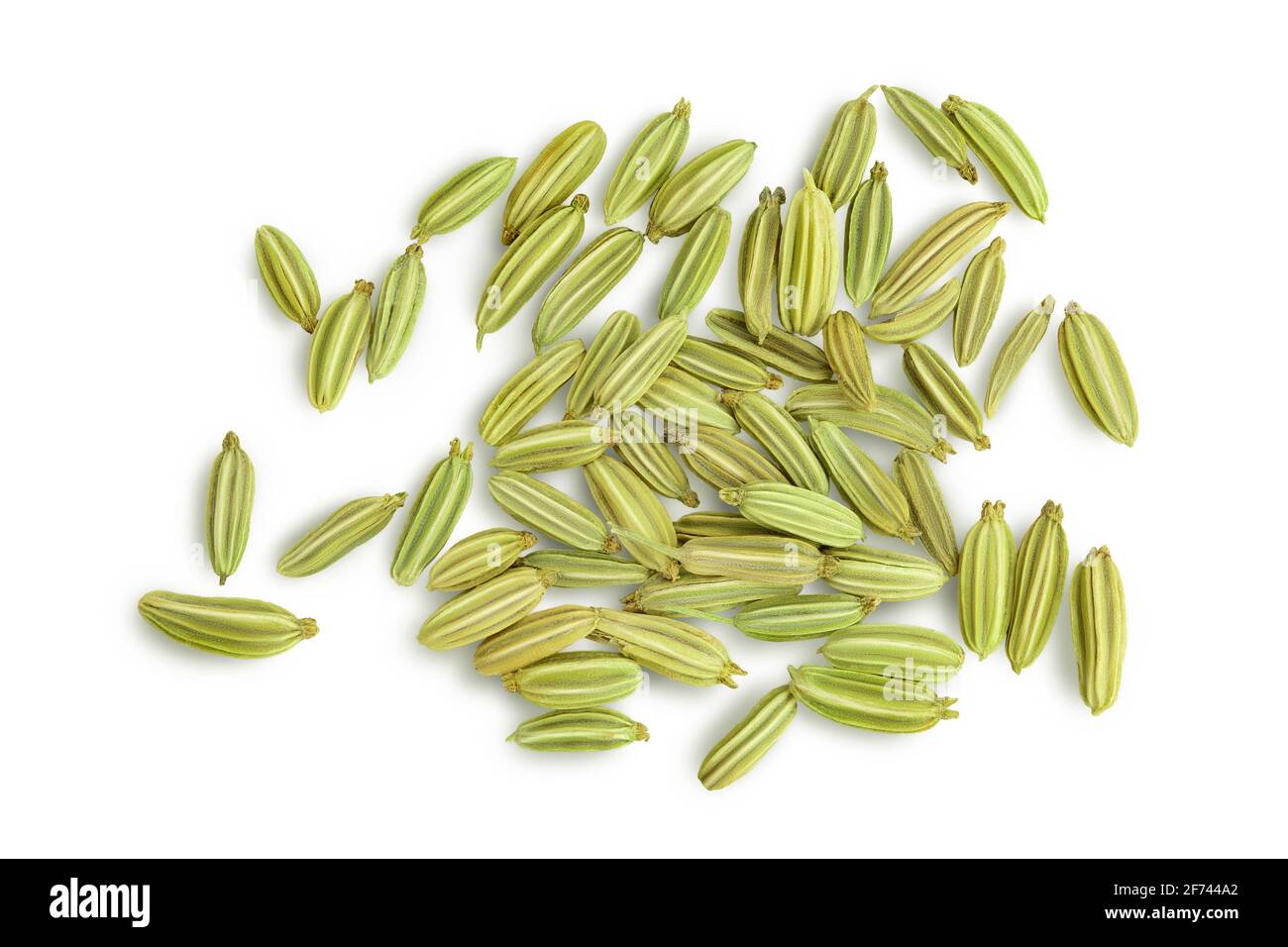 Dried fennel seeds isolated on white background with clipping path. Top ...