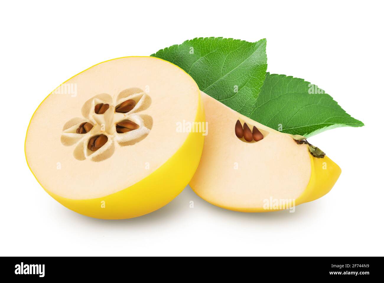 Fresh quince half and slice isolated on the white background with ...