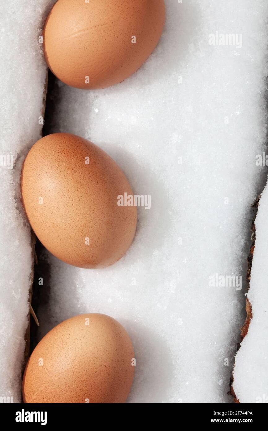 Chicken eggs in the snow. A modern composition about village life ...