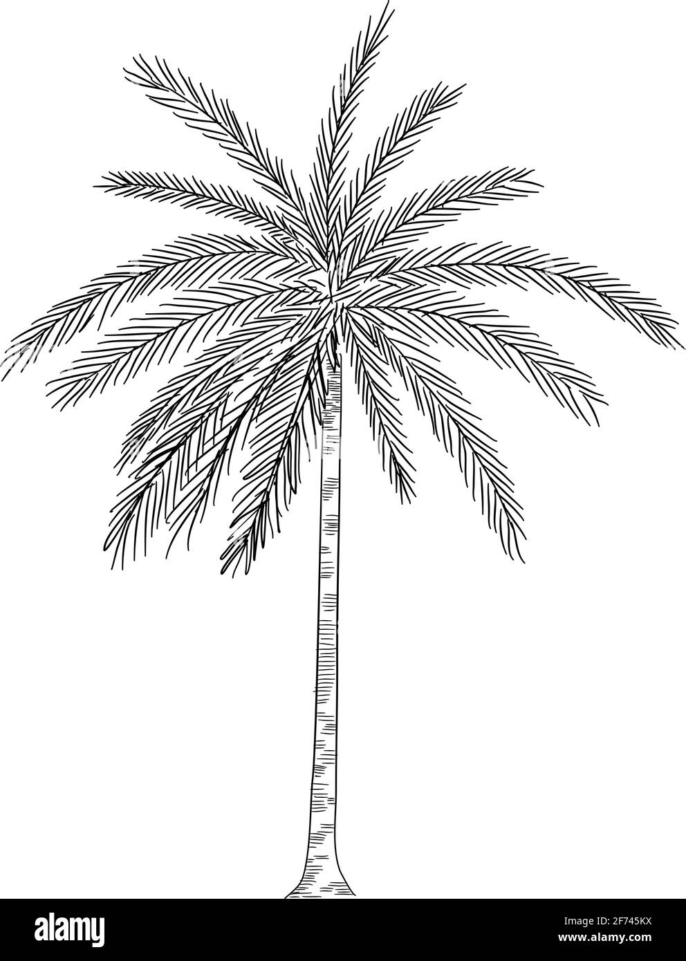 Egypt thin line outline Stock Vector Images - Alamy