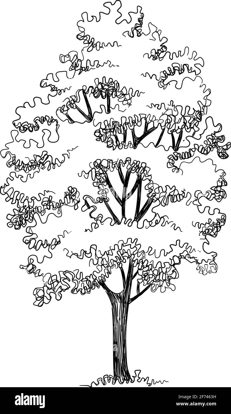High tree icon, hand drawn and outline style Stock Vector Image & Art ...