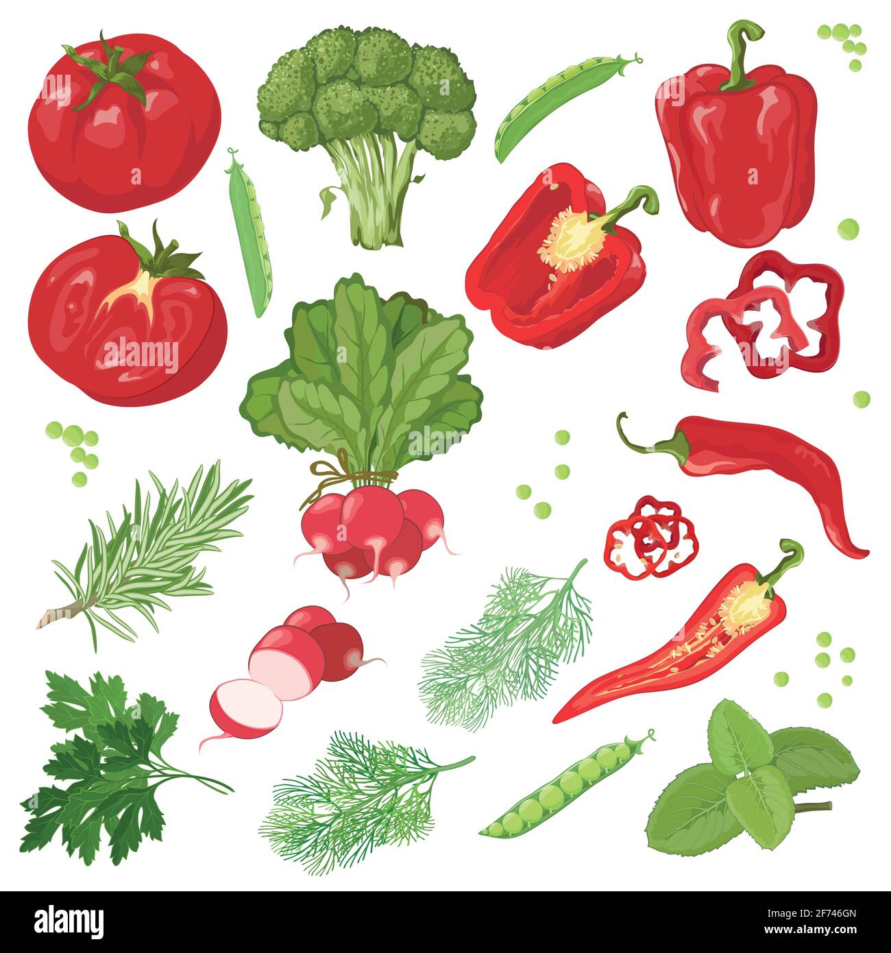 Greengrocery Vector Vectors High Resolution Stock Photography and ...