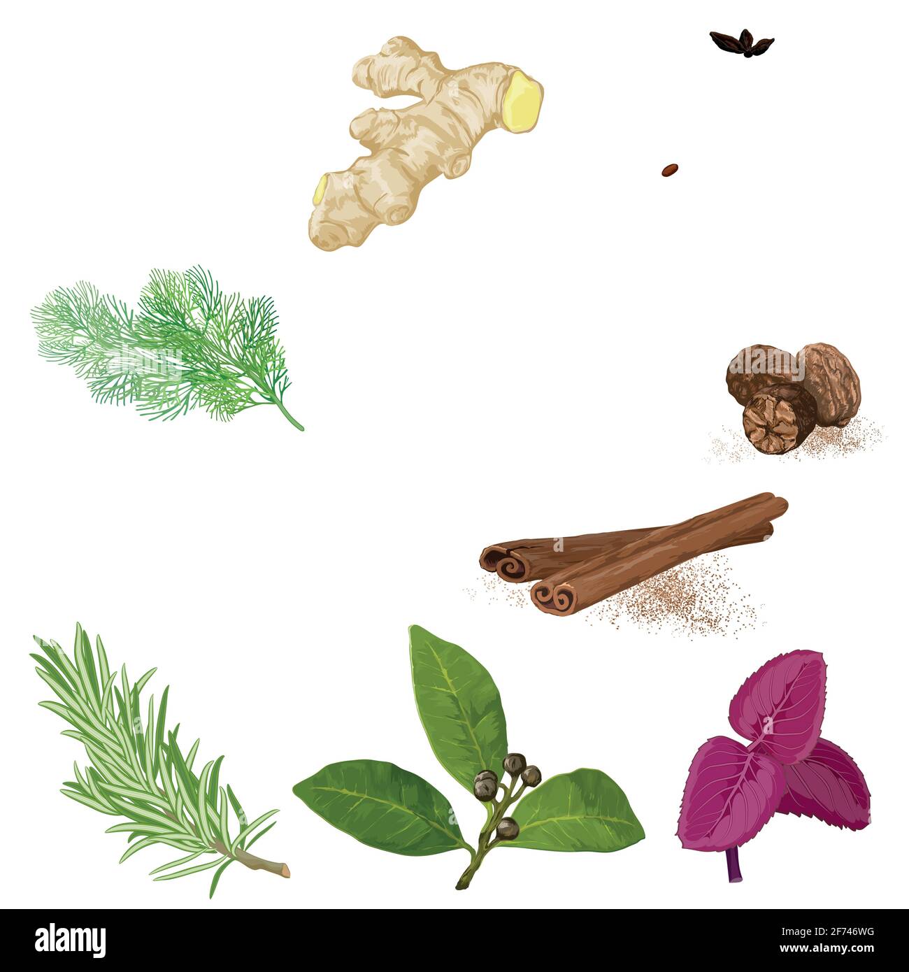Spices. Vector menu icon set. Hand drawn realistic symbols Stock Vector ...