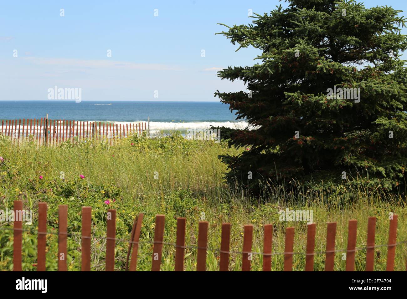Open field with wild flowers in front of beach land with view of open ...