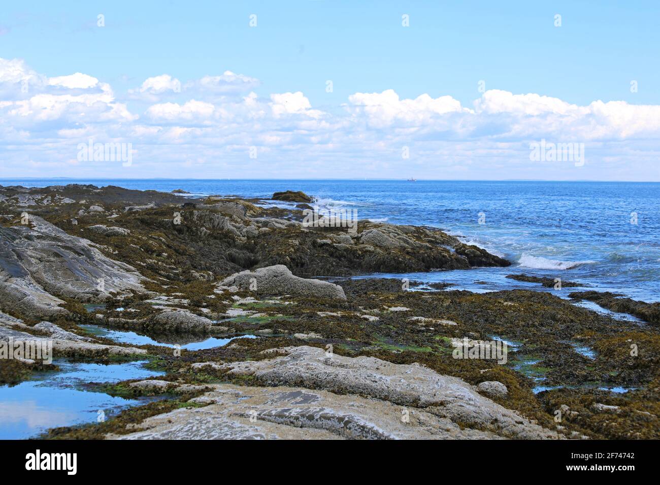 sea shore rocks with barnacles, seaweed, tide pools, waves and open ...