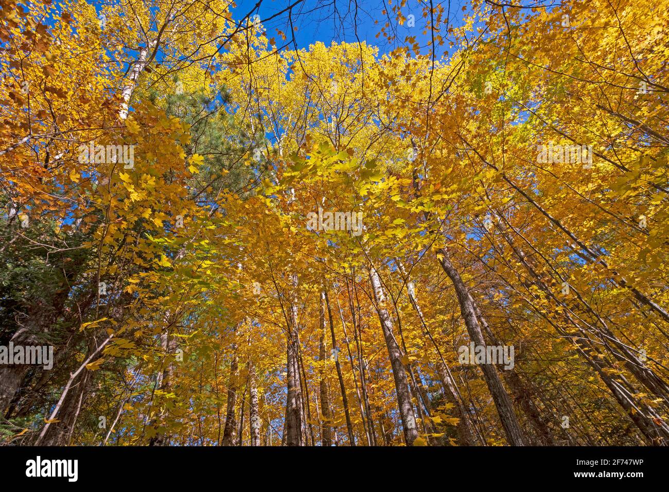 Almon county park hi-res stock photography and images - Alamy