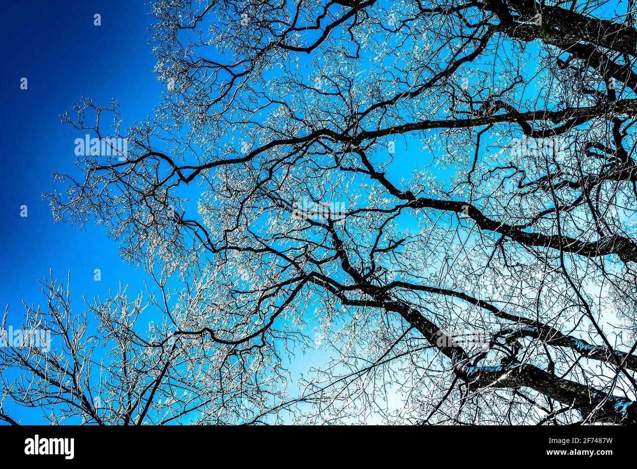 Chaotic system hi-res stock photography and images - Alamy