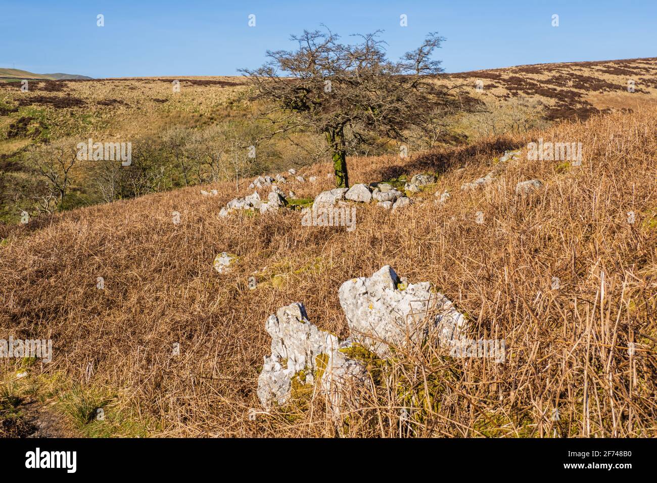 Ingleton caves hi-res stock photography and images - Alamy