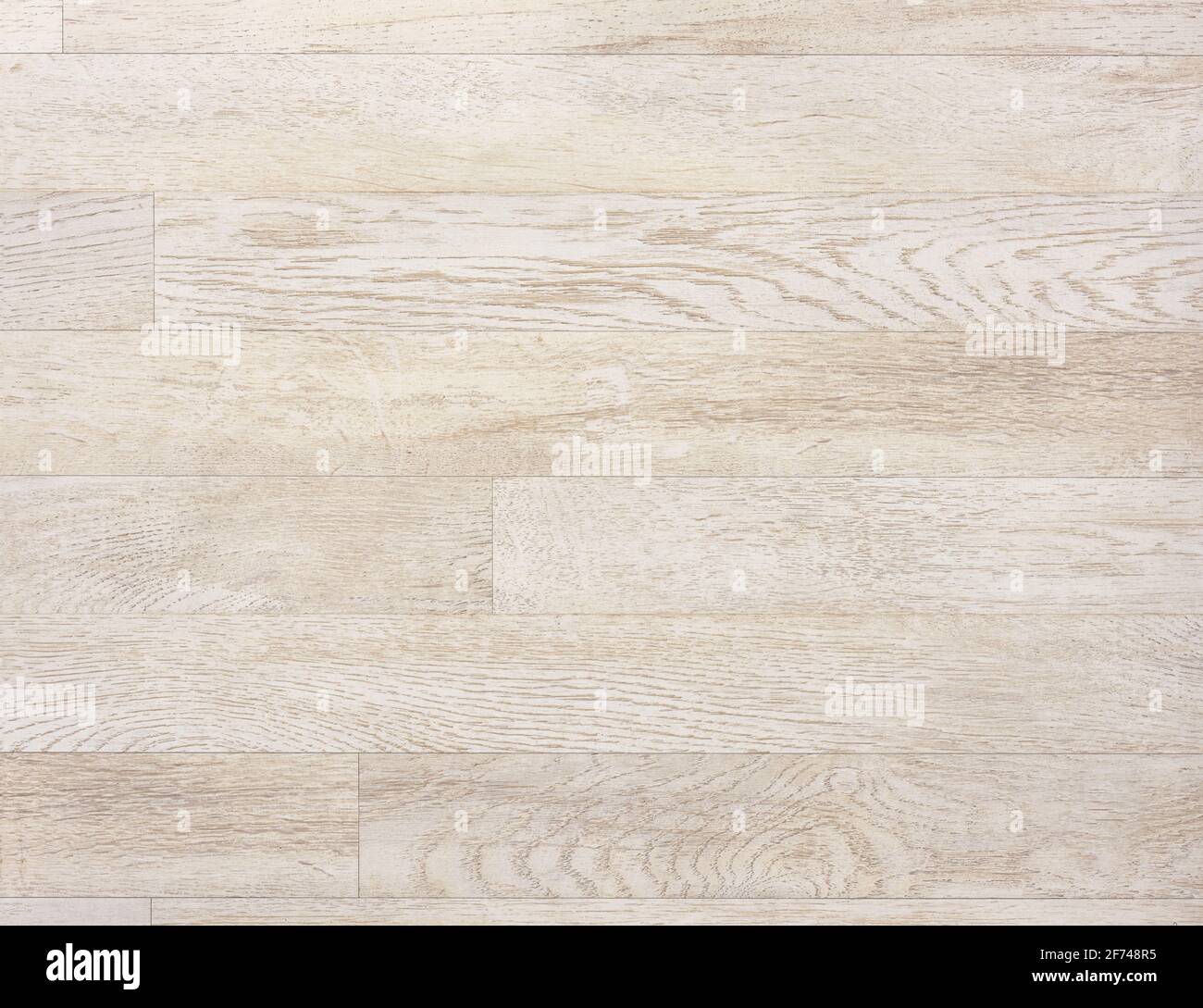 Natural white wood texture background.OAK Wood background Stock Photo ...