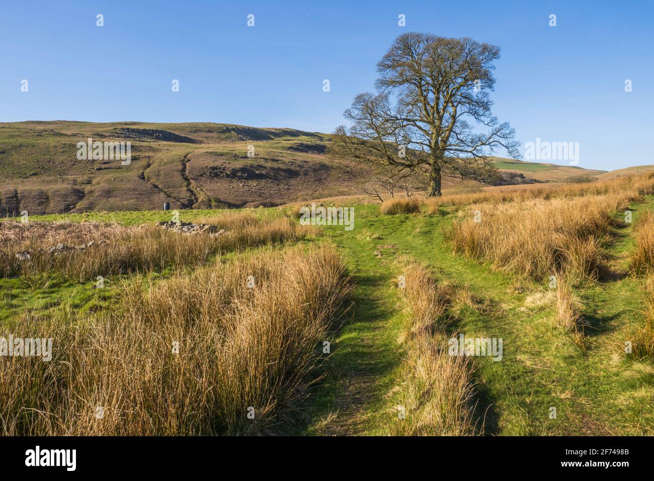 Situated high on Casterton Fell at the western end of the Yorkshire ...