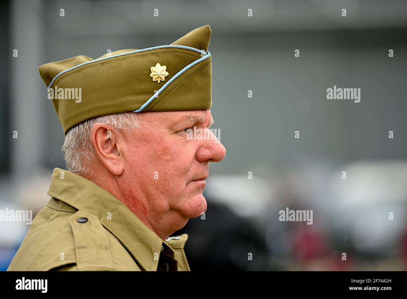 Daks over Duxford, D-Day75 Stock Photo - Alamy