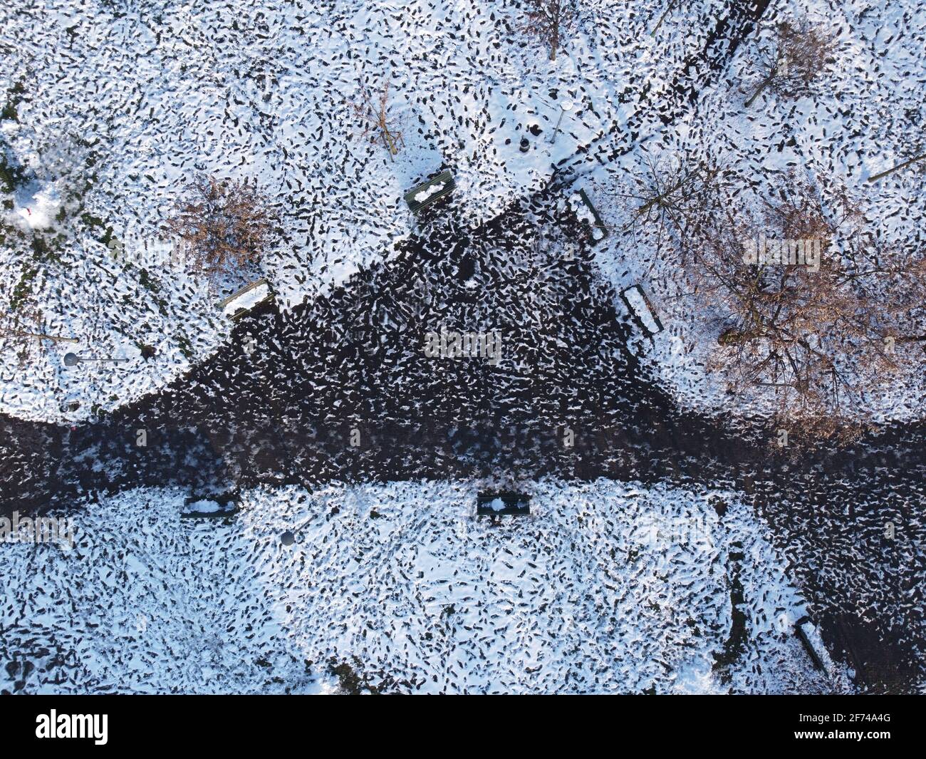 Aerial view of footsteps in the snow Stock Photo - Alamy