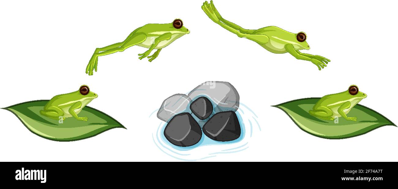 Movement of frog jumping on white background illustration Stock Vector ...