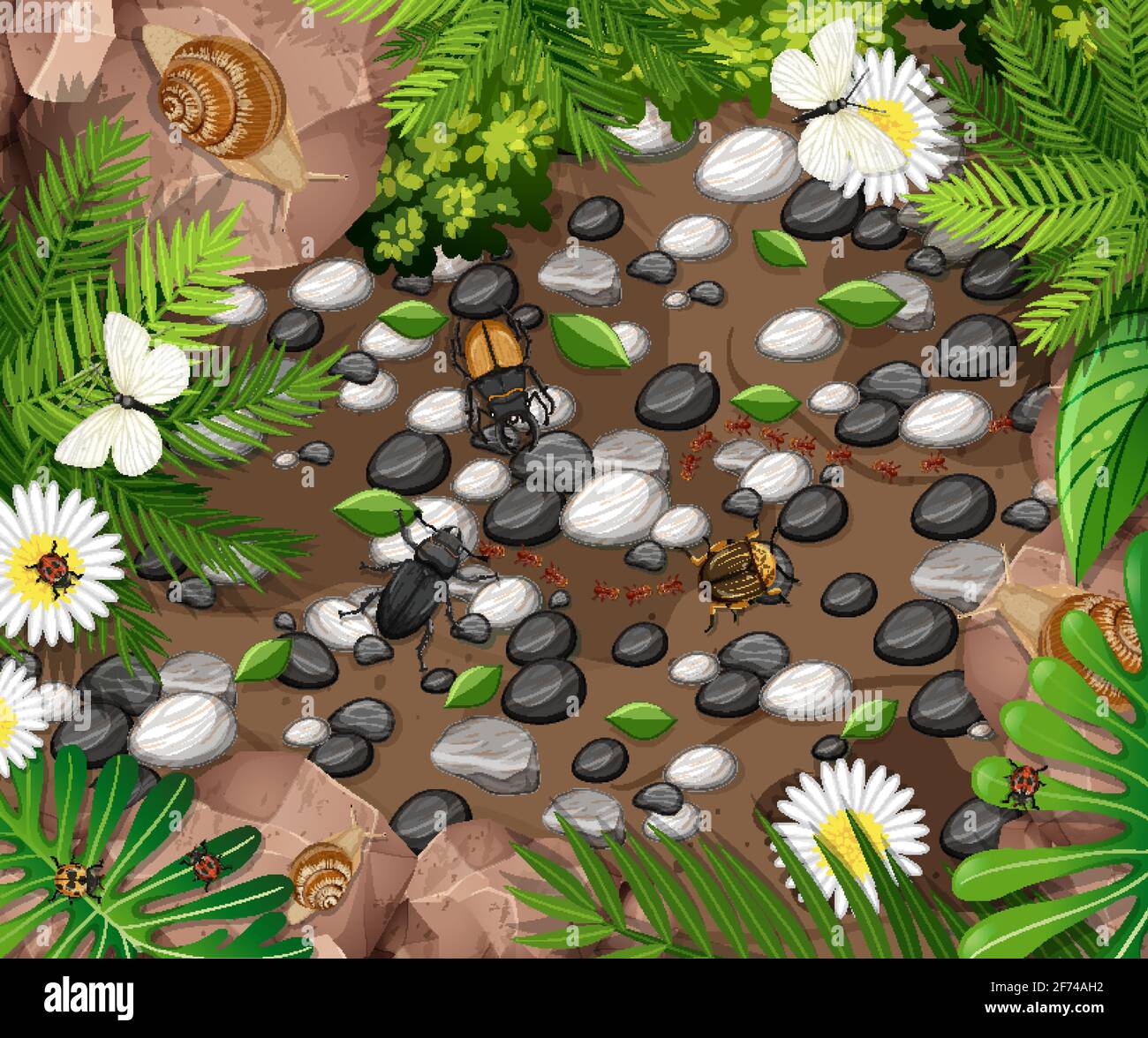 Top view of different types of insect in the garden illustration Stock ...