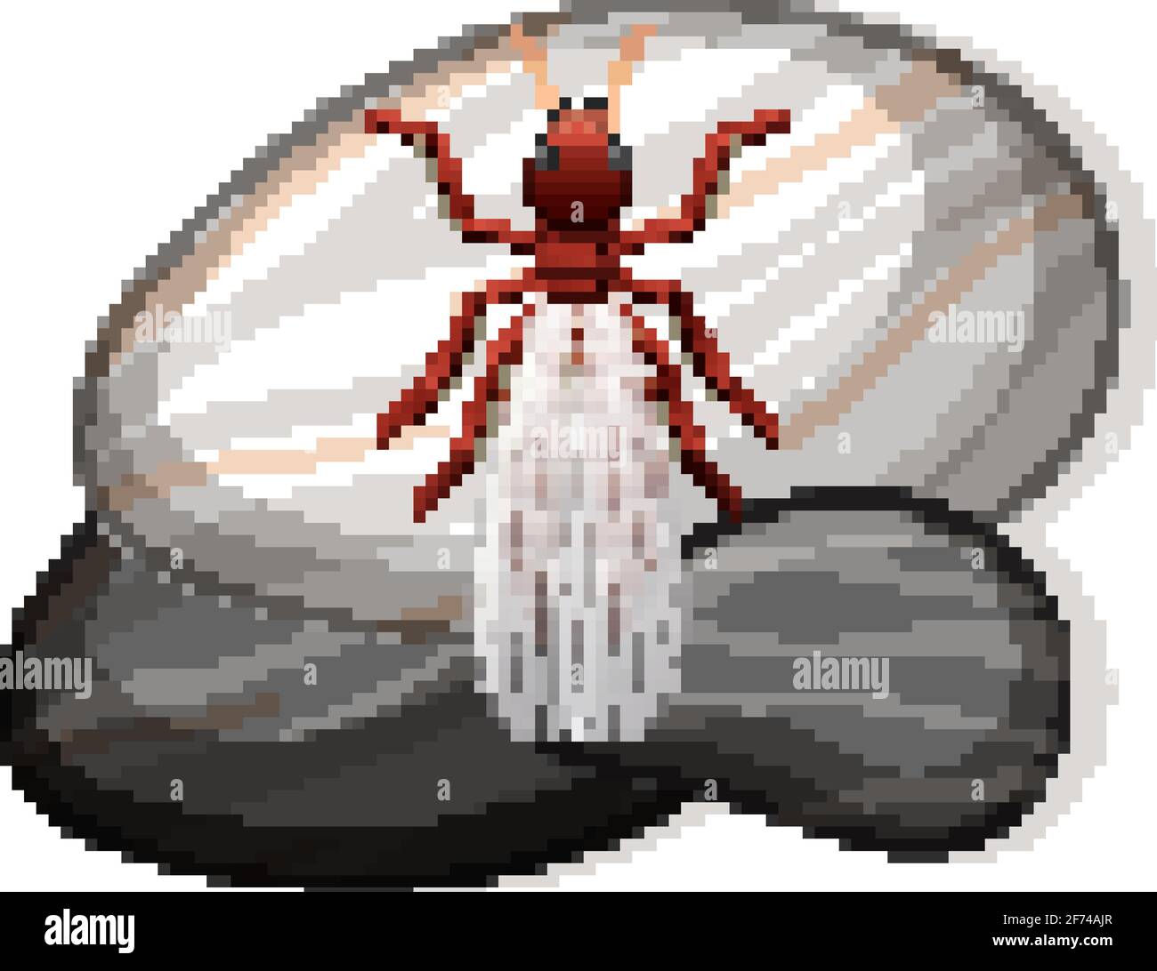 Top view of termite on a stone on white background illustration Stock ...