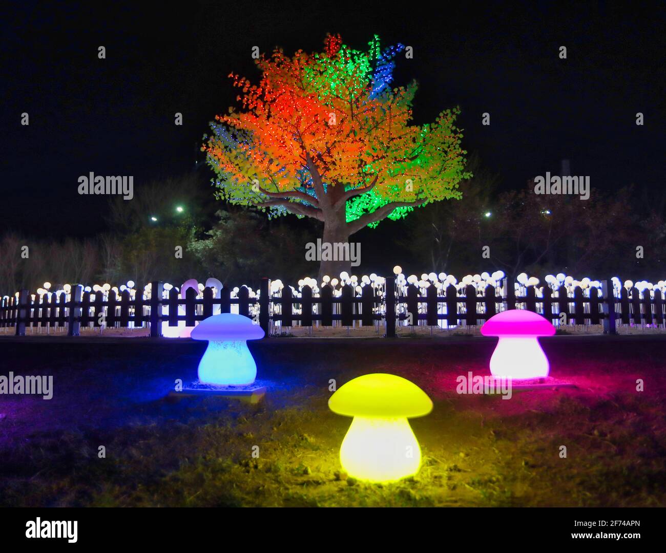 Sokcheonhang hi-res stock photography and images - Alamy