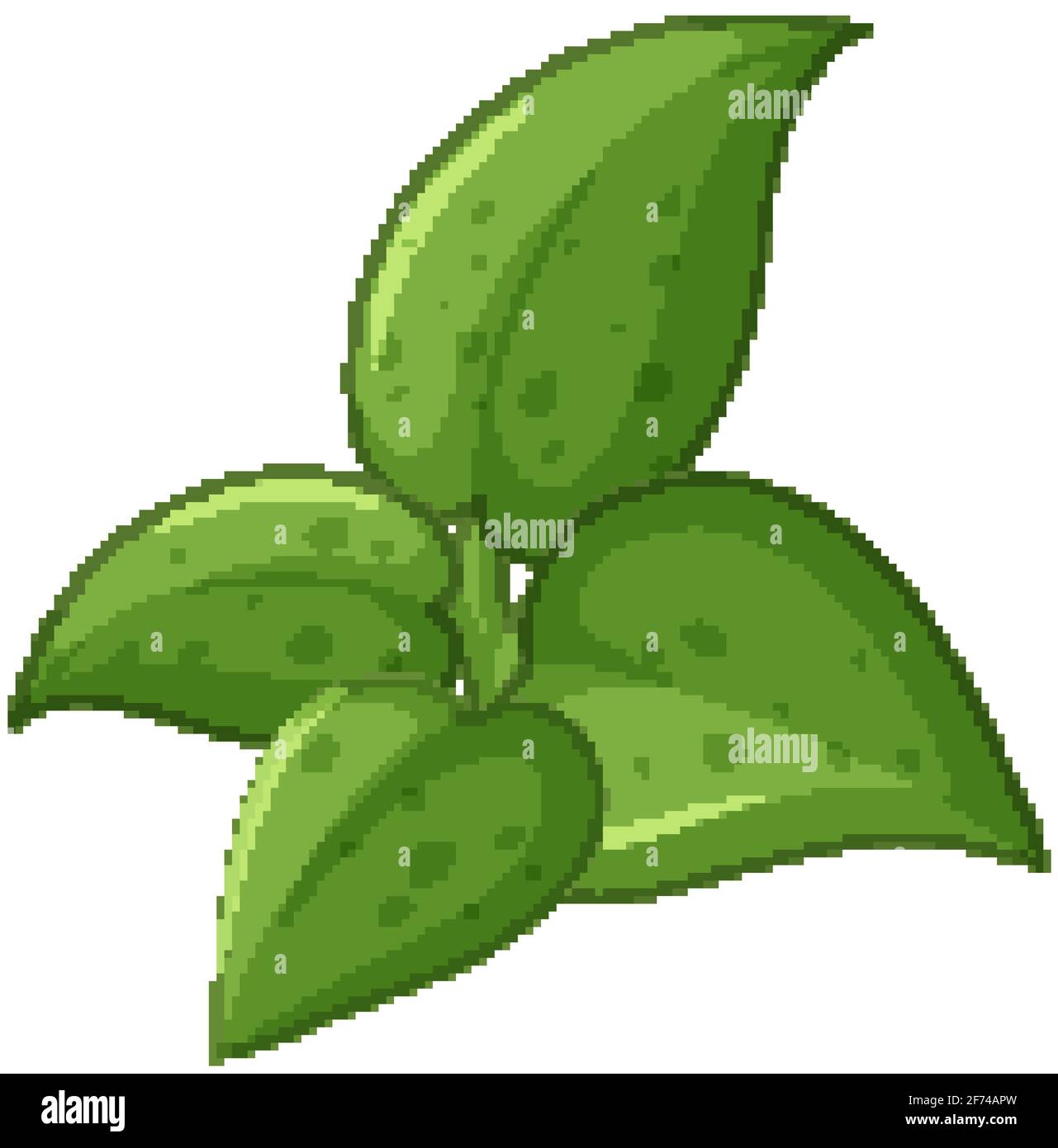 Green leaves cartoon style on white background illustration Stock ...