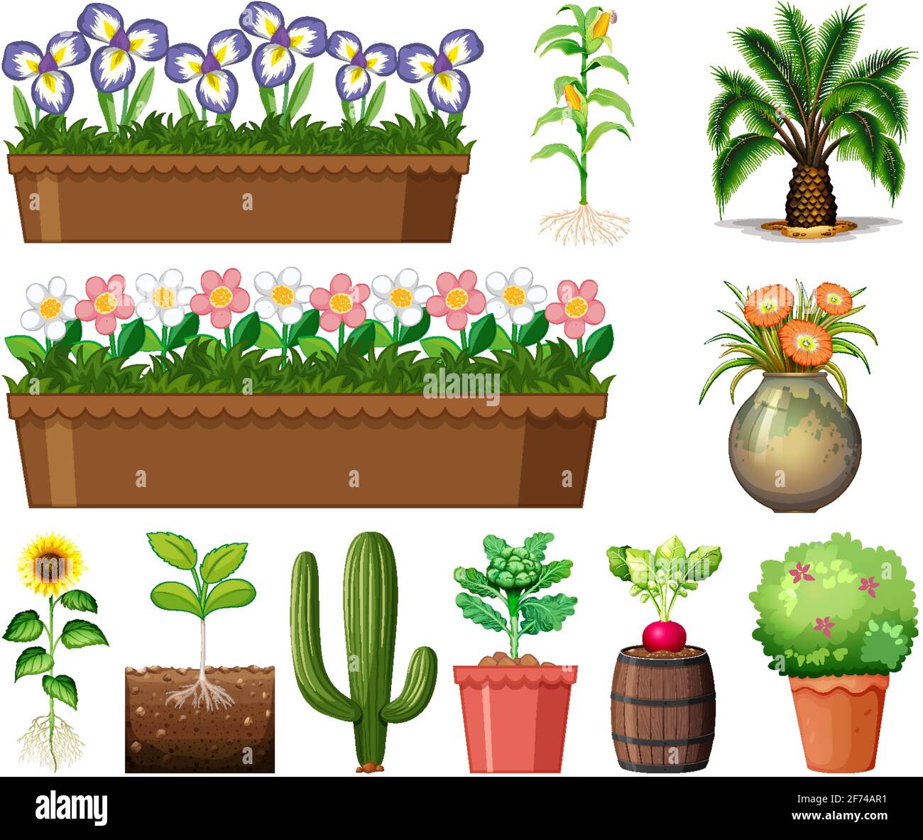 Set of different plants in pots isolated on white background ...