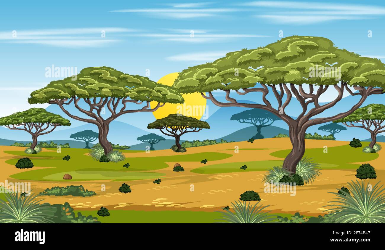 African forest landscape background illustration Stock Vector Image ...