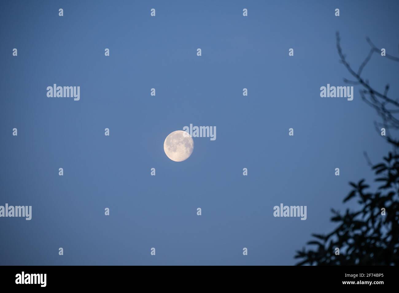 Celestial worm moon worm full moon hi-res stock photography and images ...