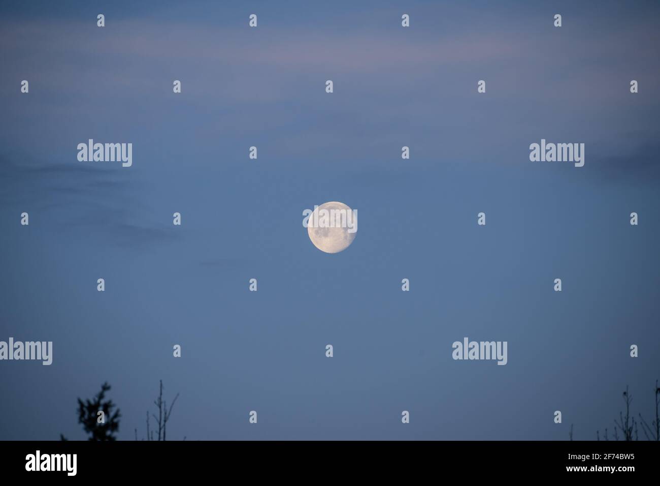 March’s full Moon goes by the name Worm Moon, which was originally ...