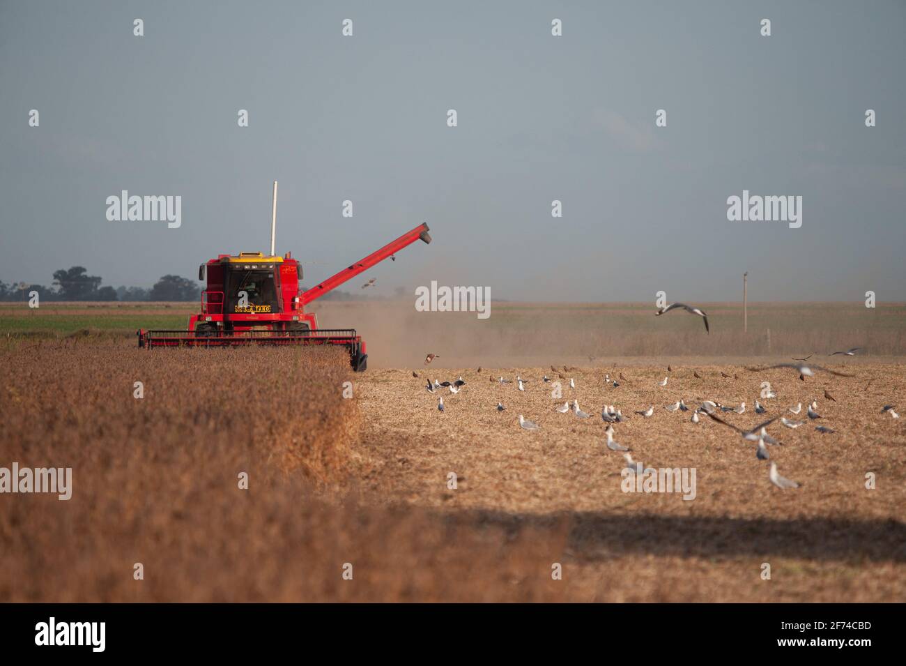 Gray combine hi-res stock photography and images - Alamy