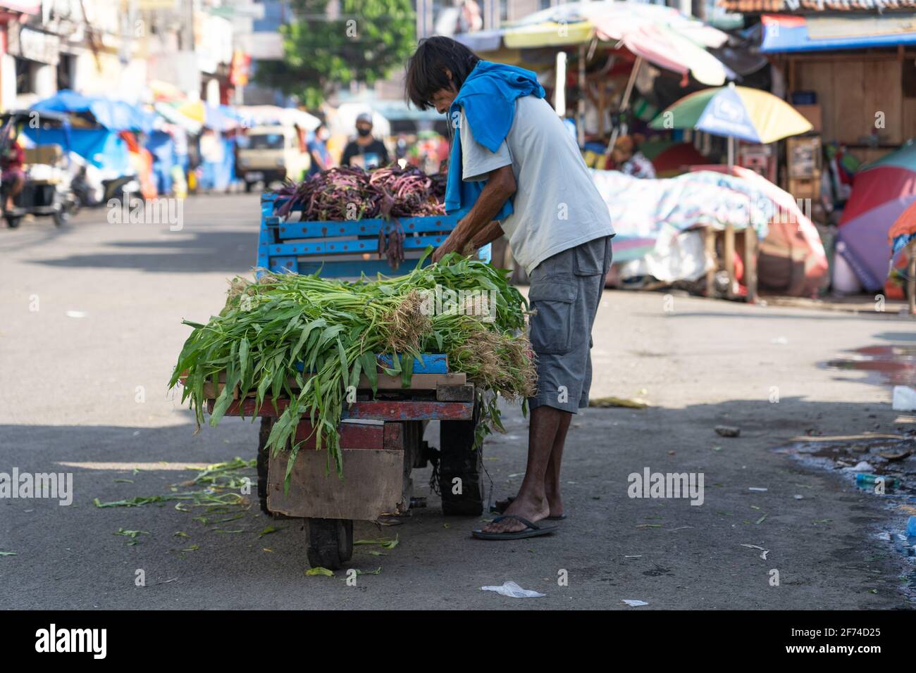 A man selling vegetables from a cart in a market area of Cebu City ...
