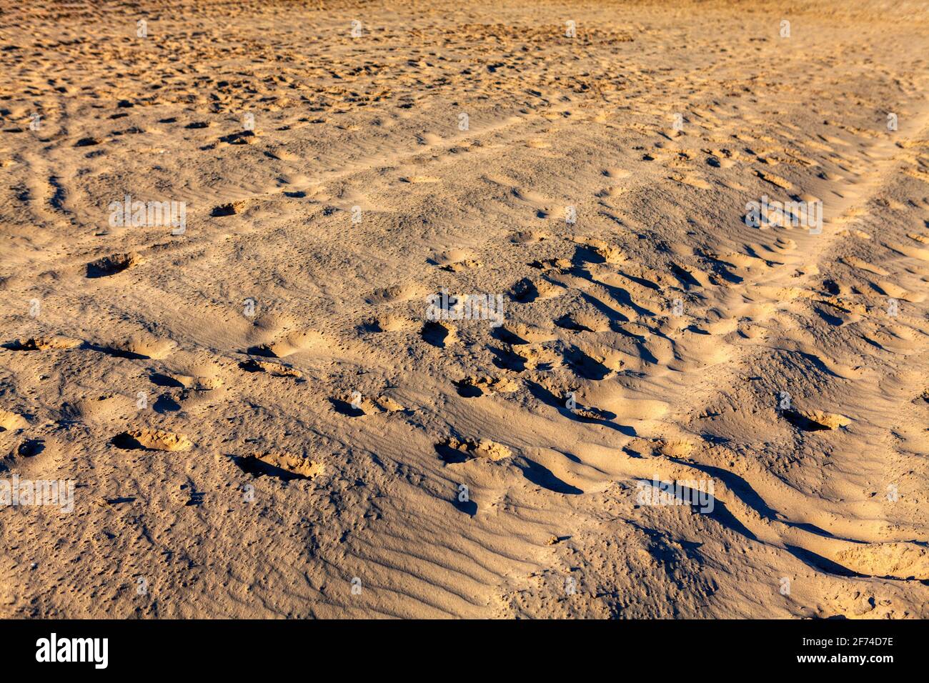 Beach after the rain , wet sand Stock Photo - Alamy