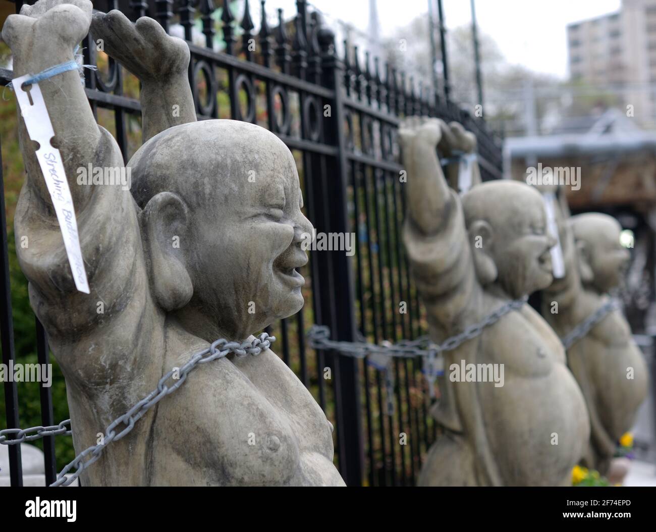 laughing buddha garden statues chained together Stock Photo - Alamy