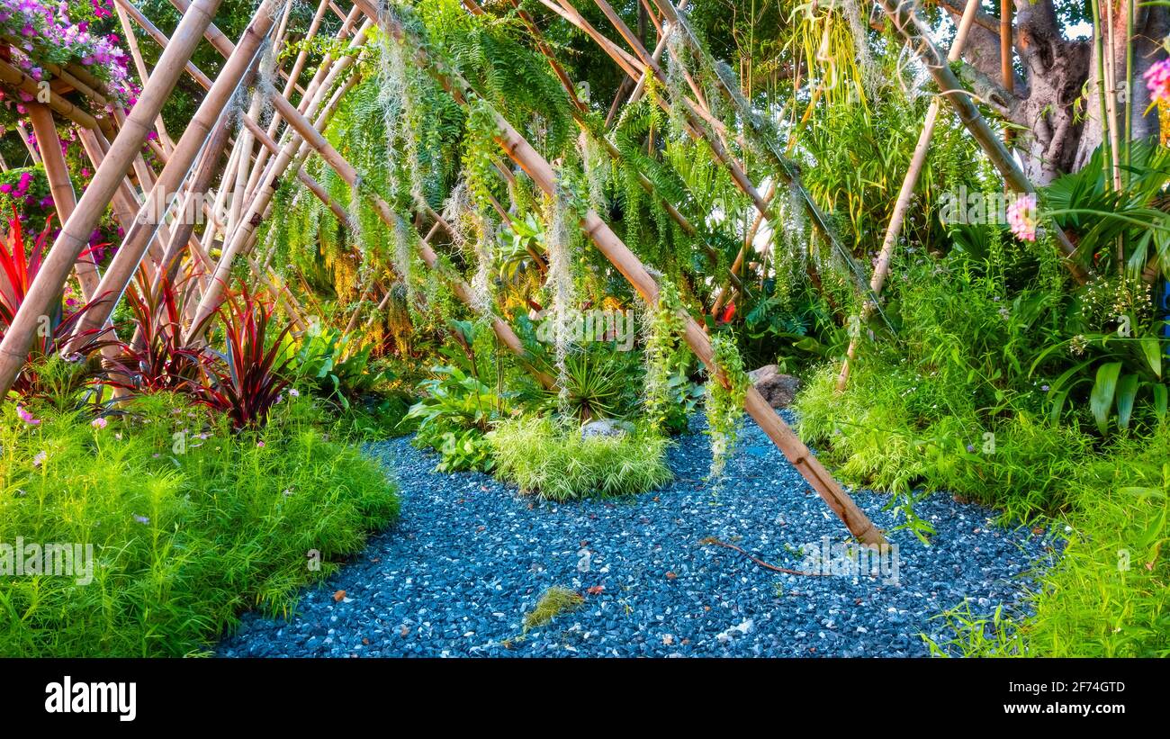 A Beautiful Landscape of a Garden with Plants and Trees Stock Photo - Alamy