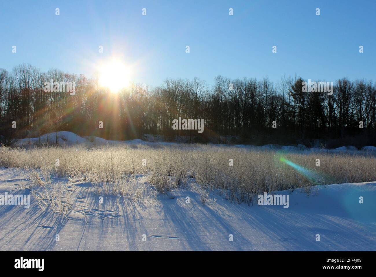 The Sun Rising Over The Trees on a Winter's Morning Stock Photo - Alamy