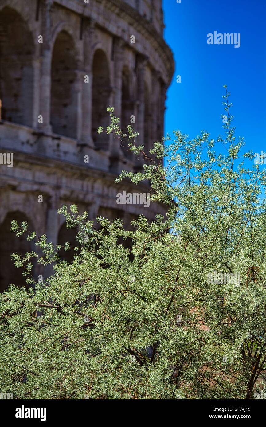 Roman landmarks hi-res stock photography and images - Alamy