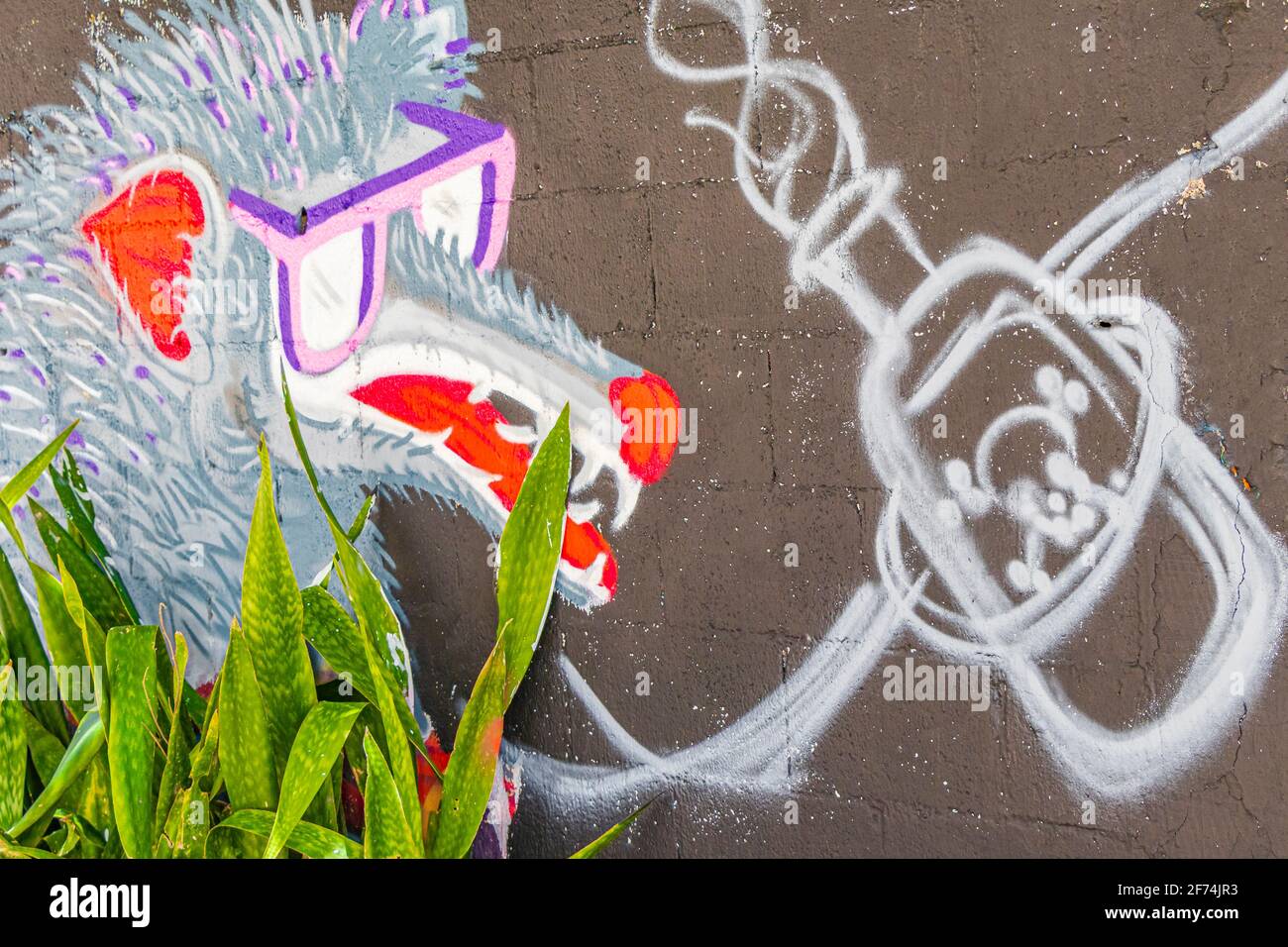 Artistic walls with cool rat paintings and graffiti in Playa del Carmen ...