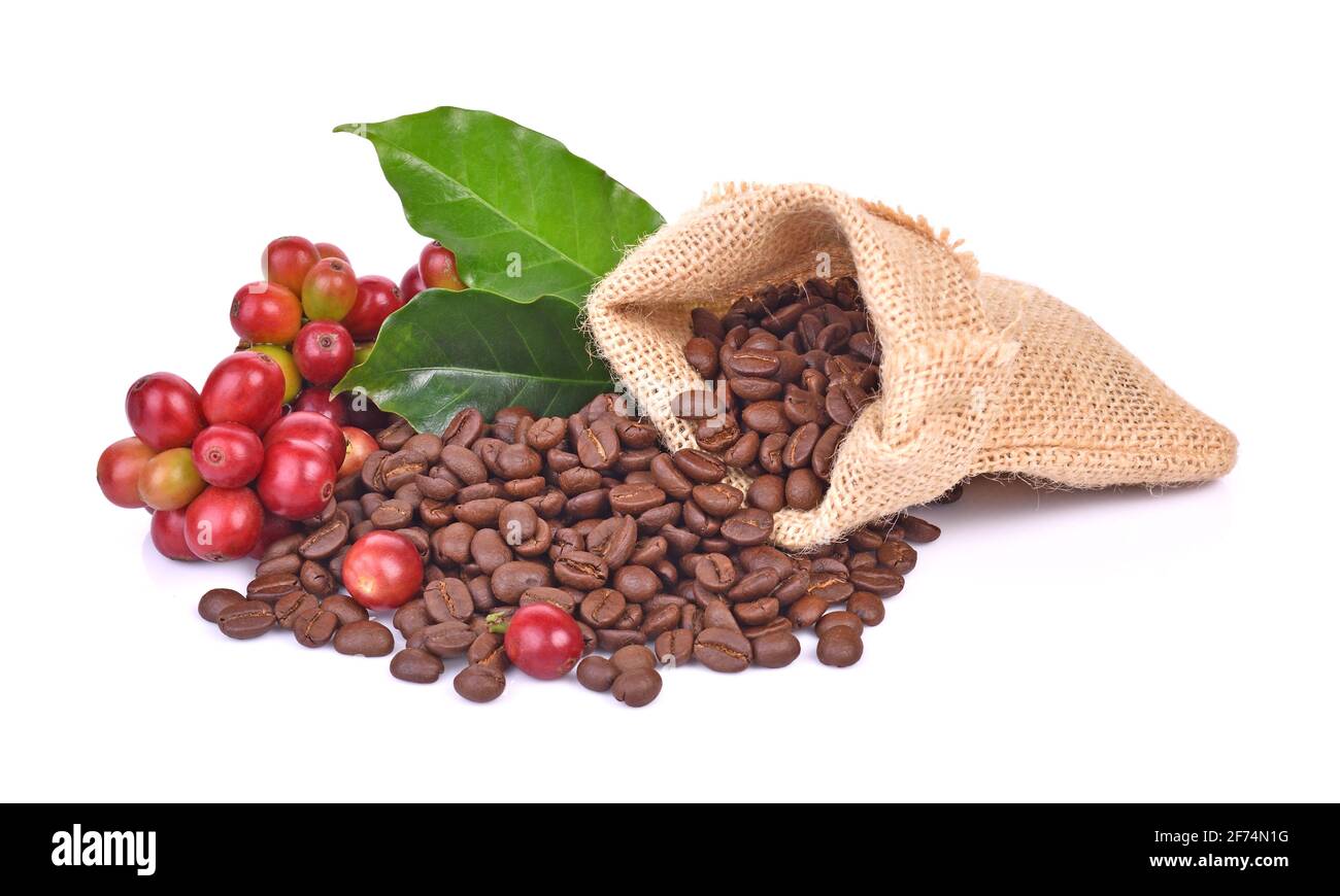 coffee beans on white background Stock Photo - Alamy