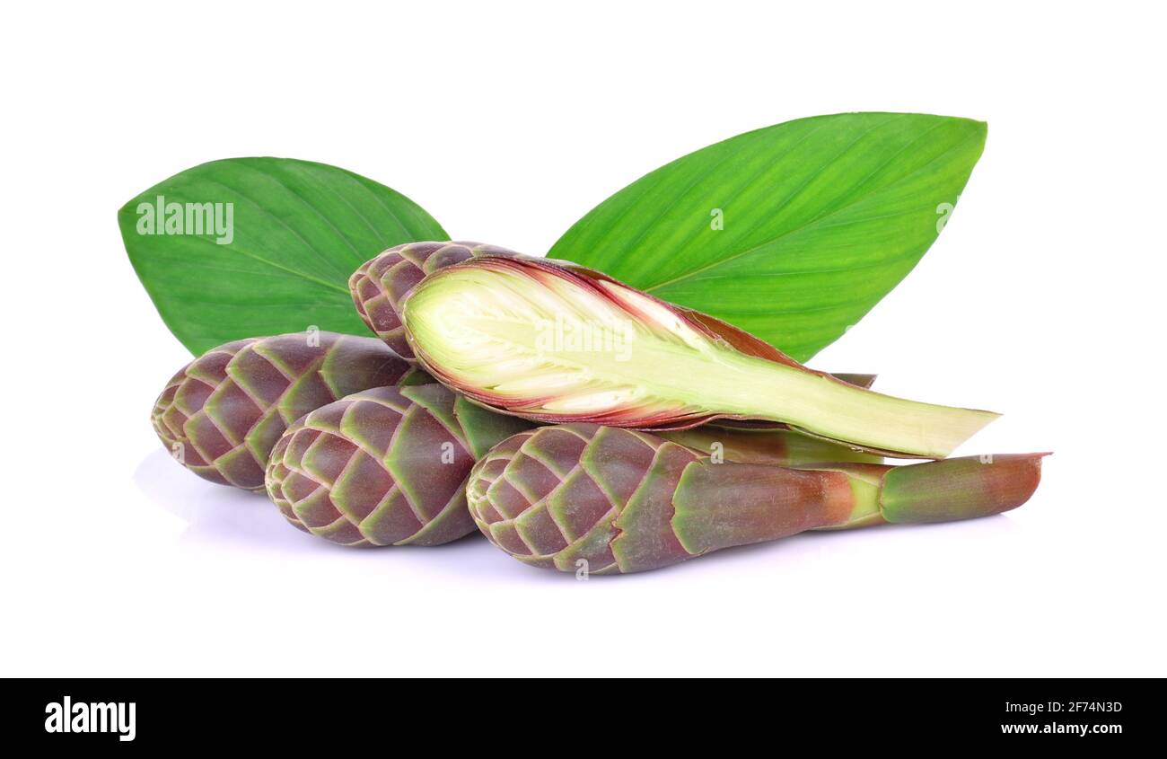 Phlai, Cassumunar ginger, Bengal root Stock Photo - Alamy
