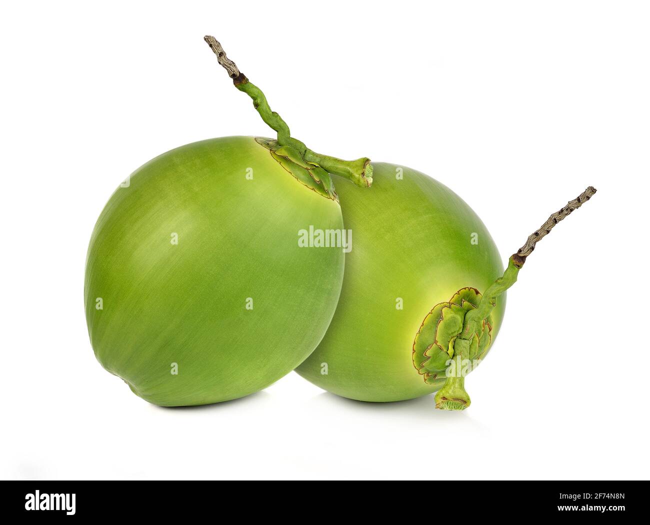 Green coconut Cut Out Stock Images & Pictures - Alamy