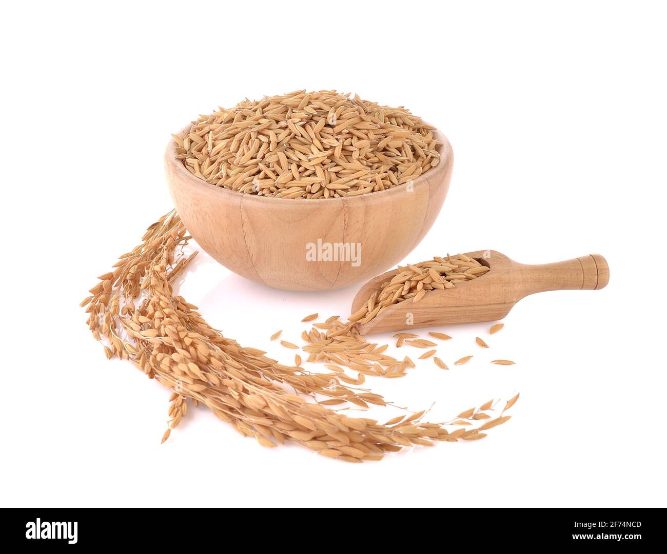 paddy isolated on white background Stock Photo - Alamy