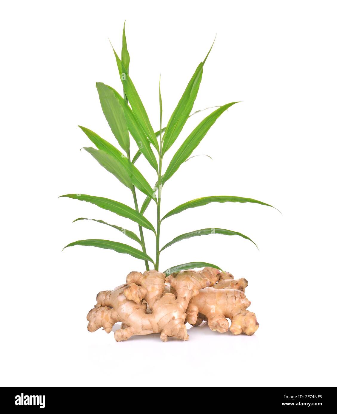 Fresh ginger isolated on white background Stock Photo - Alamy