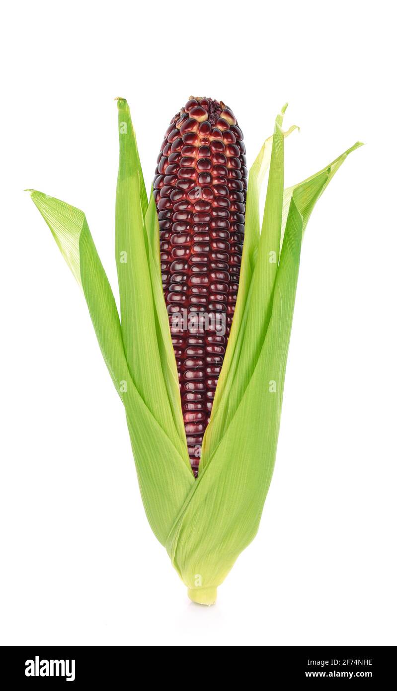 Purple corn fresh close hi-res stock photography and images - Alamy