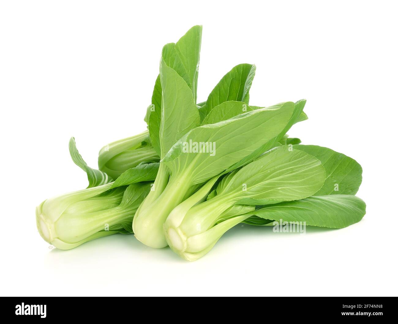 Bok choy (chinese cabbage) isolated on white Stock Photo - Alamy