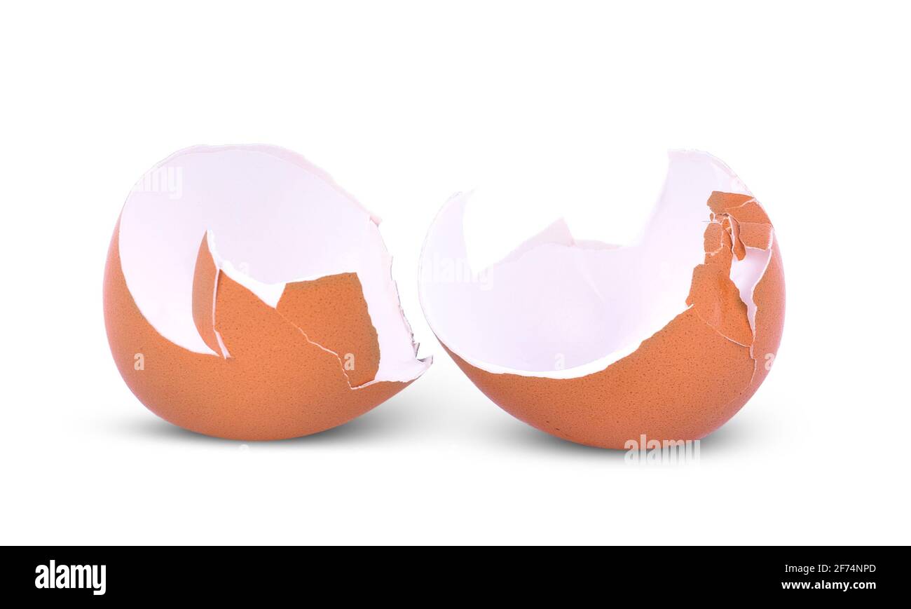 egg shell on a white background Stock Photo - Alamy