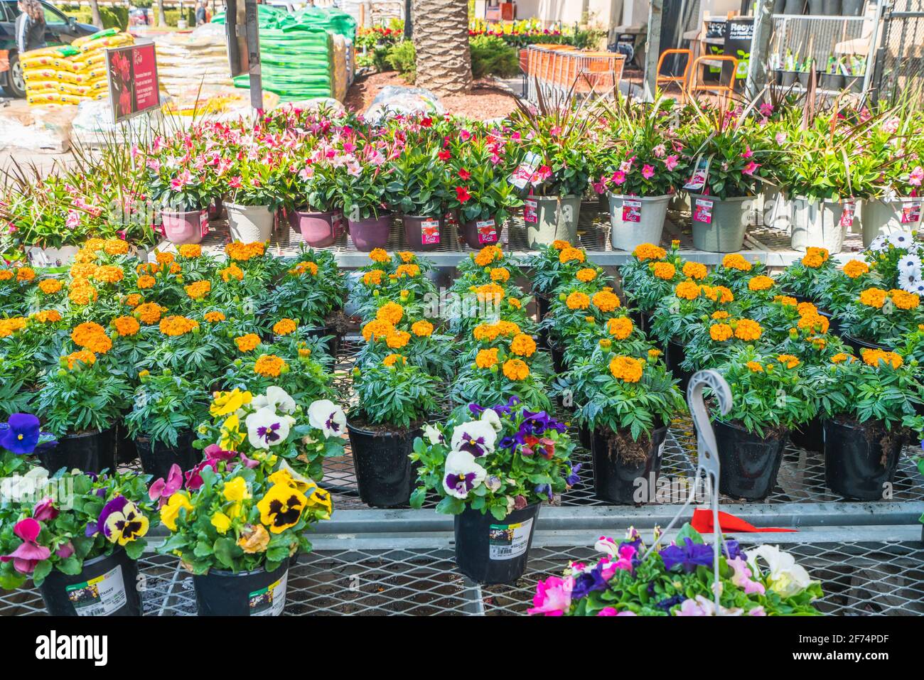 Santa Maria, California, USA - April 4, 2021. Garden center and floral ...