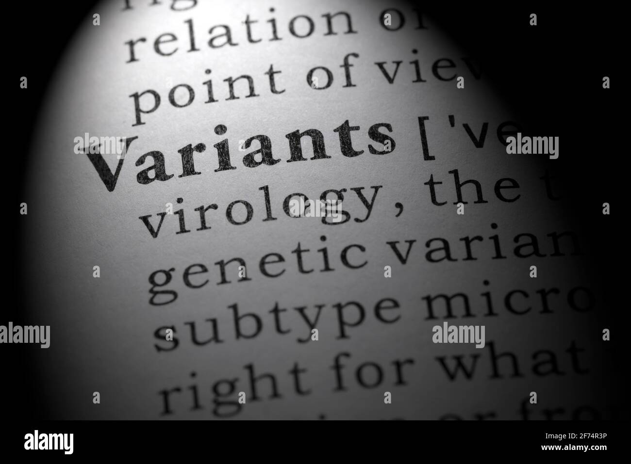 Fake Dictionary, Dictionary definition of variants Stock Photo - Alamy