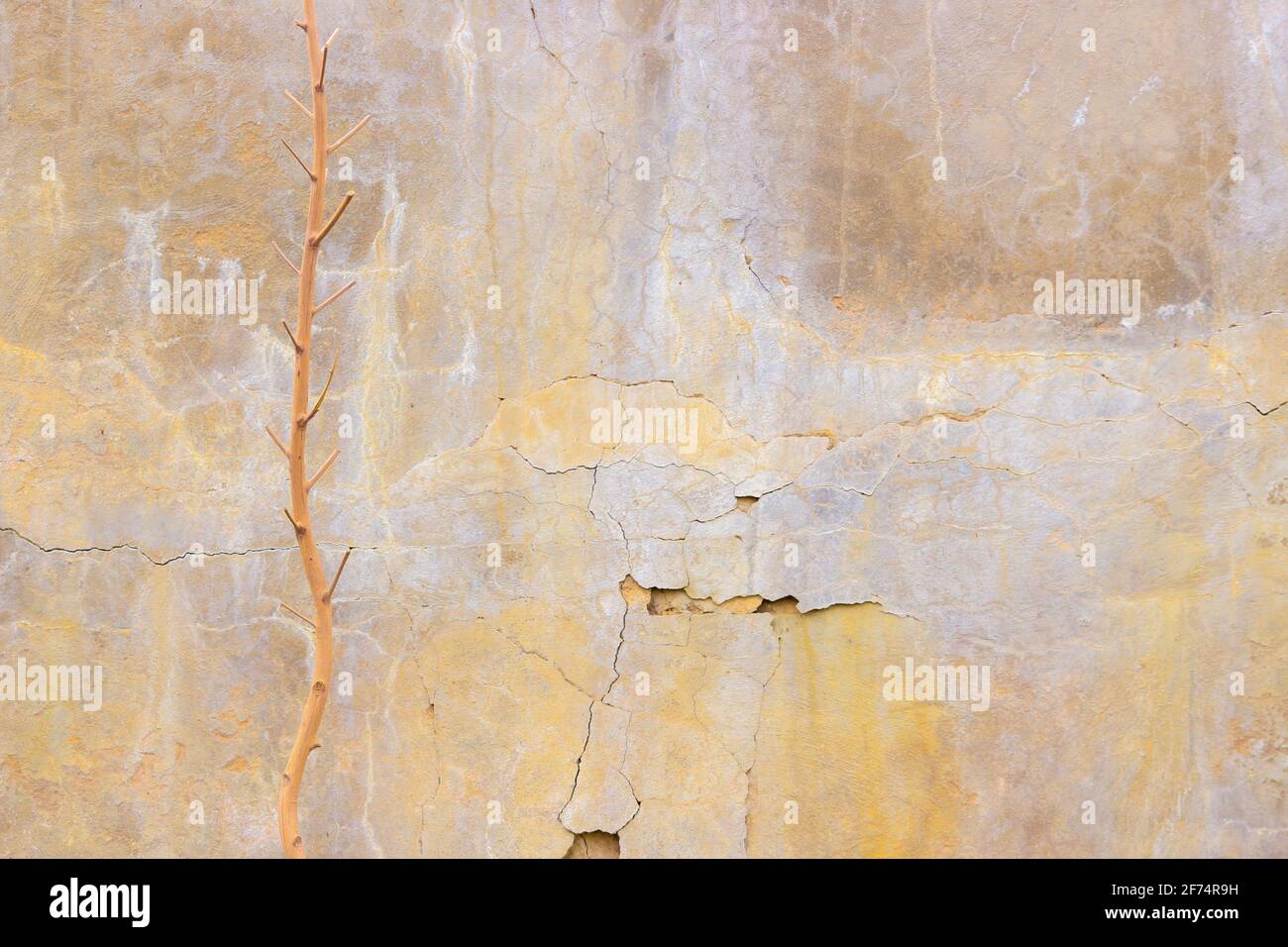 old wrick wall texture in historiocal city jeddah Stock Photo - Alamy