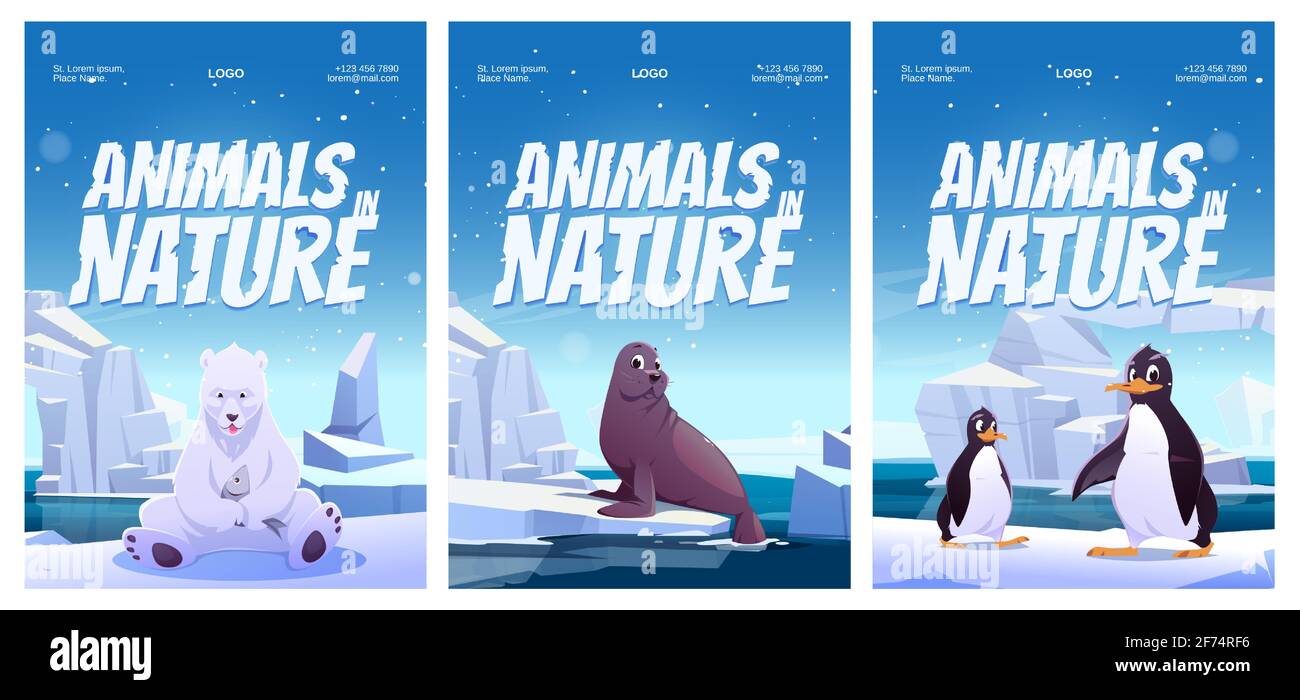 Animals in nature posters with penguin, polar bear and seal on floe ...