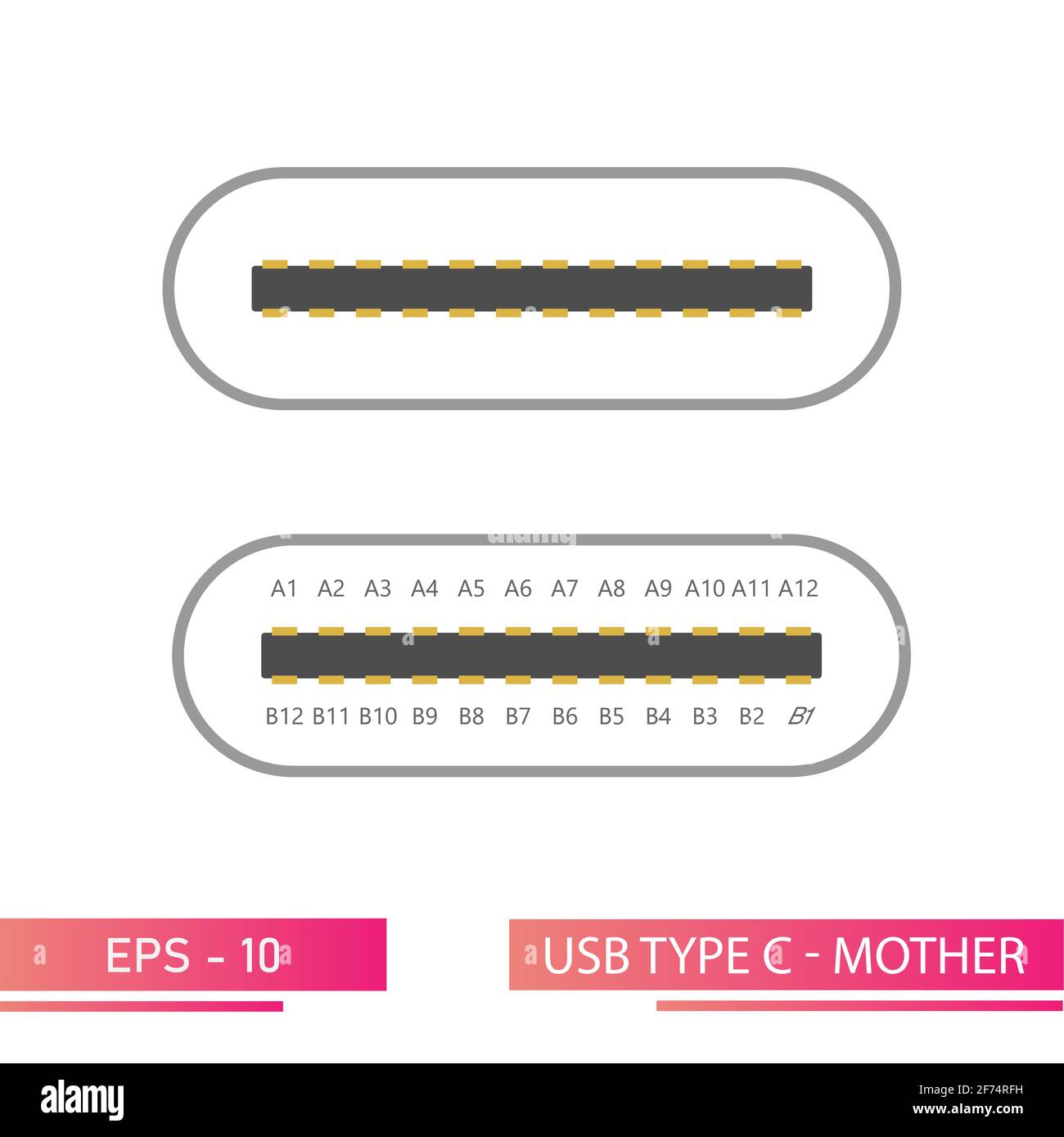 USB type C-front view of the mom connector in a realistic design. On a ...