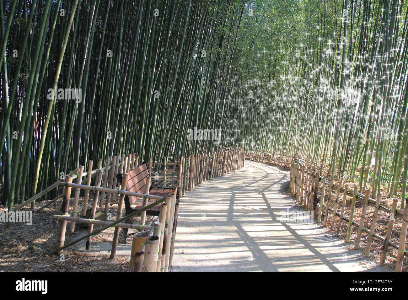 Spring nature scenery and park walk, Photos representing nature and ...