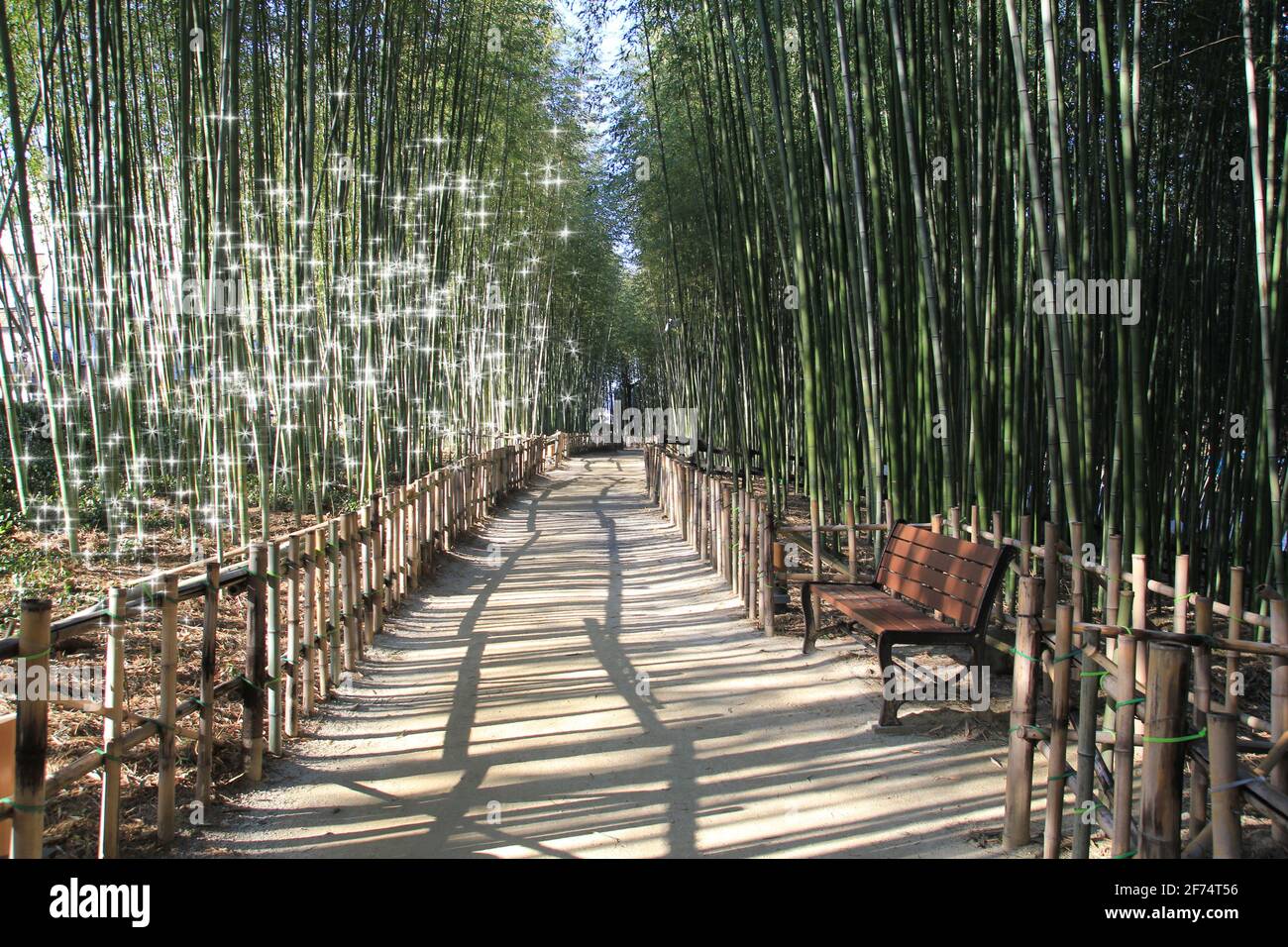 Spring nature scenery and park walk, Photos representing nature and ...