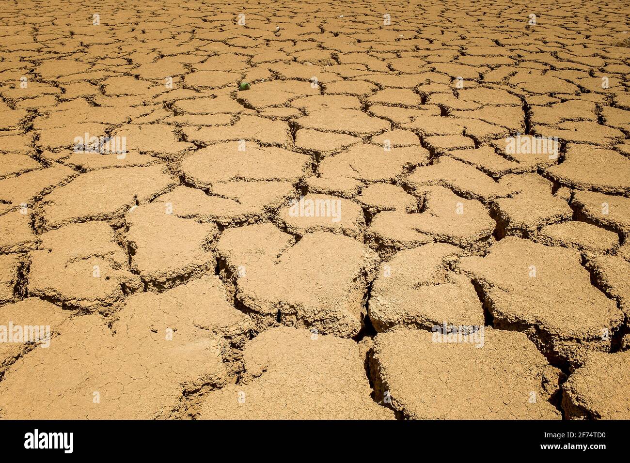 Crack ground texture background Stock Photo - Alamy